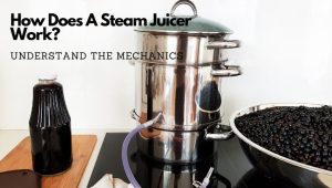 How Does A Steam Juicer Work: Understand The Mechanics
